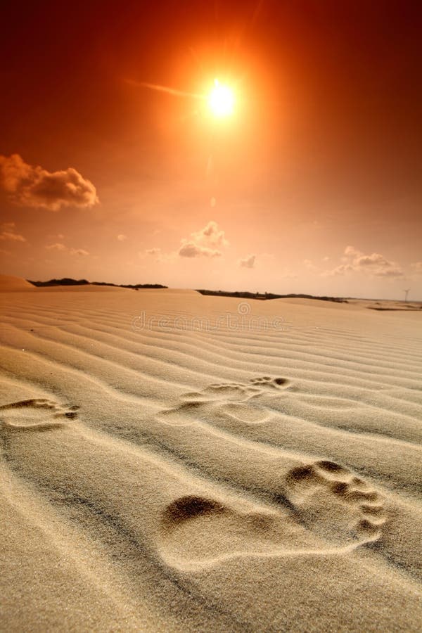 Desert footprint stock image. Image of lost, africa, foot - 8343687