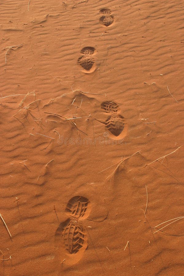 Footsteps in the Sahara Desert Stock Image - Image of desert, egyptian ...