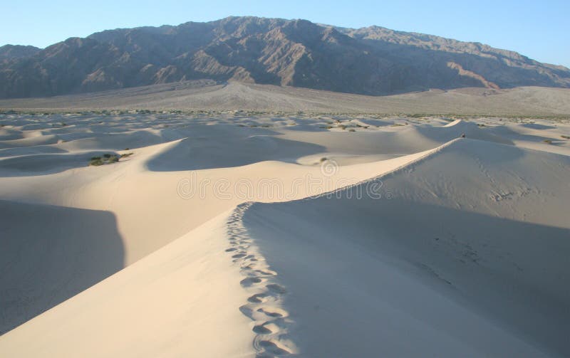 Desert Footsteps stock photo. Image of death, park, footstep - 5367324