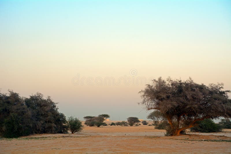 Desert, Gharafa, Qatar stock image. Image of orange, sunset - 70283253