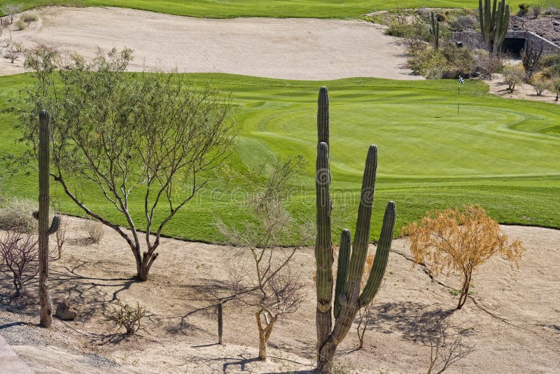 Desert golf course green stock image. Image of rock, golfing - 50177559