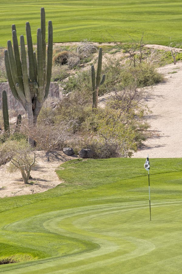 Desert Golf Course stock photo. Image of fairway, bridge - 16901598