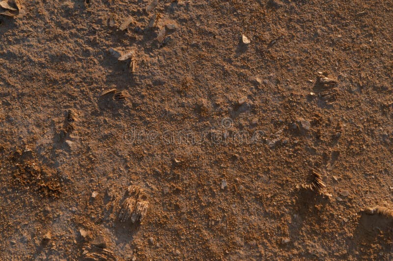 The Desert Ground and Stone Texture with Small Pieces of Salt. Stock ...