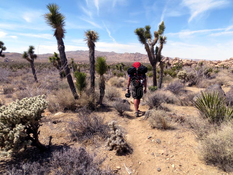Desert Hiker stock image. Image of walk, vegetation, landscape - 30512285