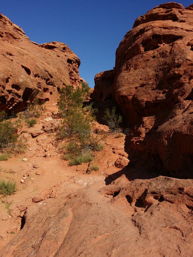 Desert stock image. Image of senic, hiking, desert, stgeorge - 46239605