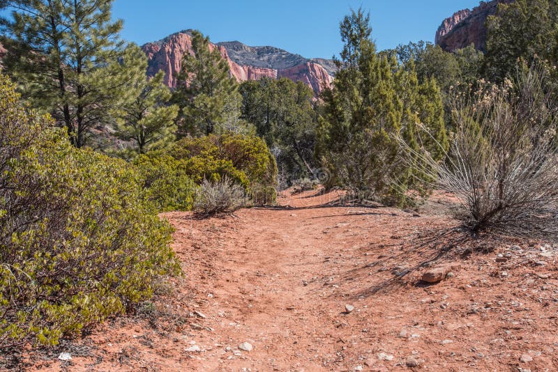 Desert Hiking Trail with Red Cliffs Stock Photo - Image of footpath ...