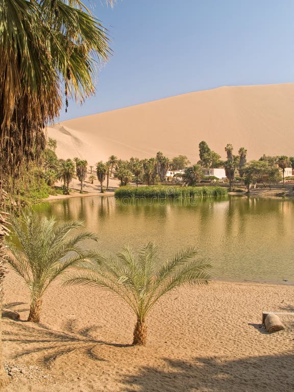 Desert of Ica, Peru stock photo. Image of travel, desert - 4032722