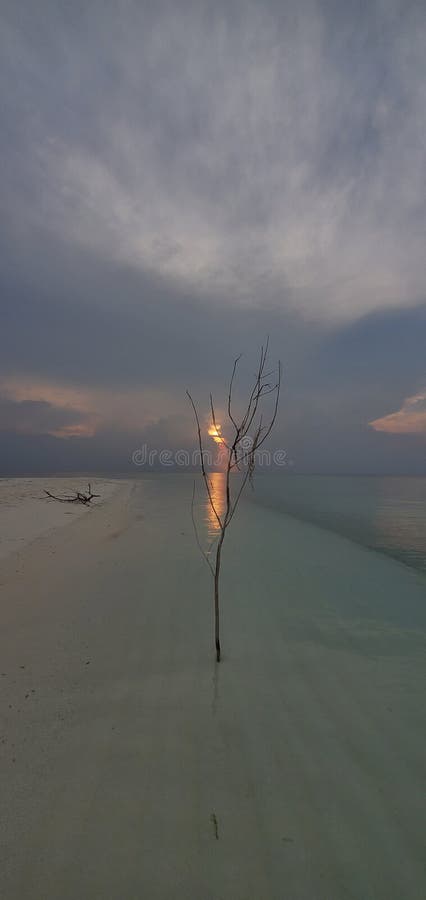 Desert island Sunset stock image. Image of mast, desert - 218871529