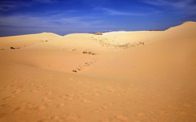Desert the top view stock photo. Image of drought, background - 28088496