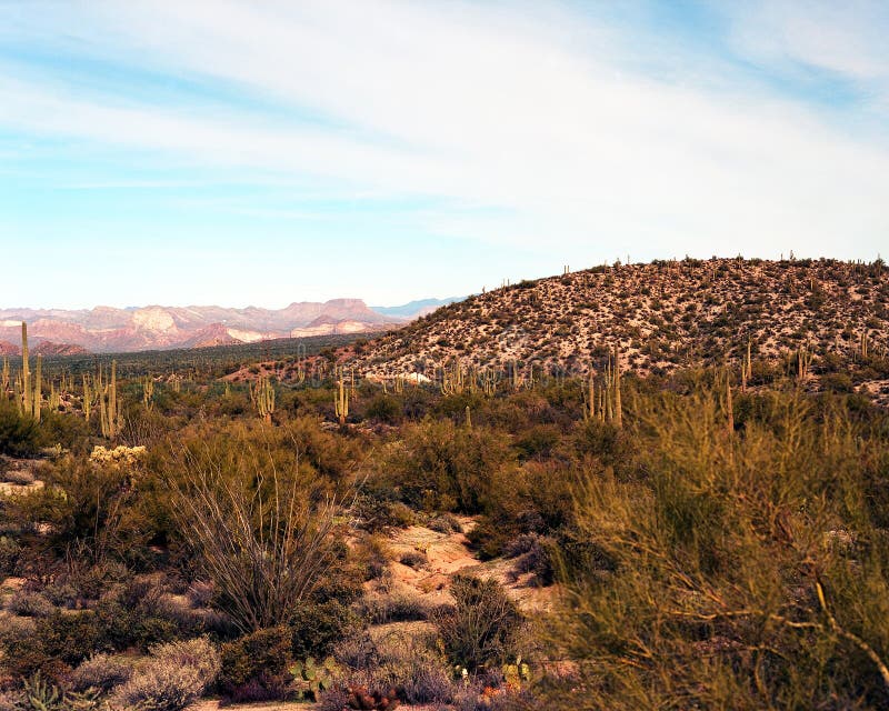 Desert Landscape stock photo. Image of mountain, solitude - 28470720