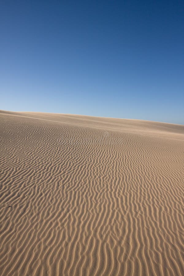 Beautiful desert landscape stock photo. Image of desert - 8068072