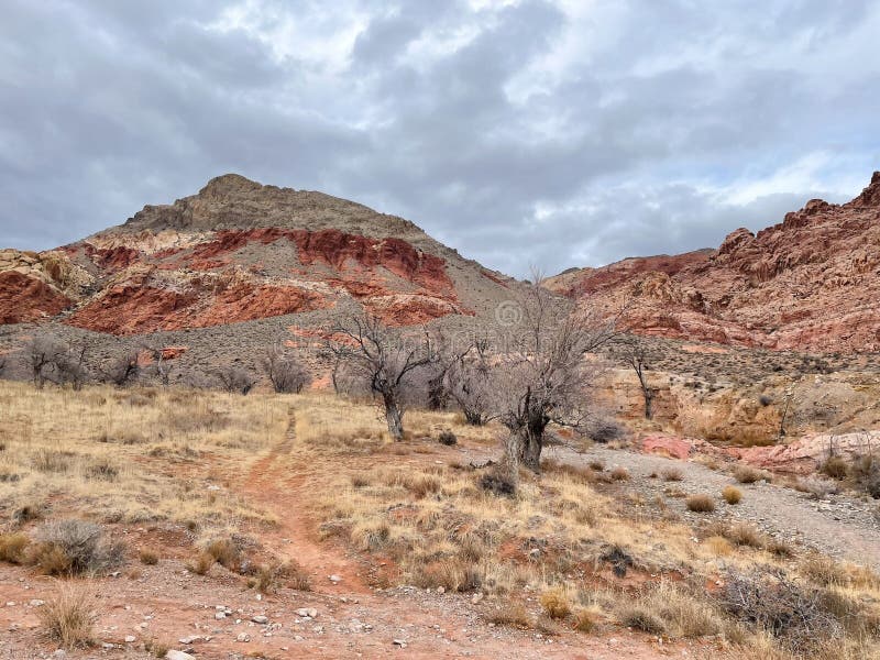 Desert Landscape with Barren Trees at Red Rock Canyon. Stock Image ...