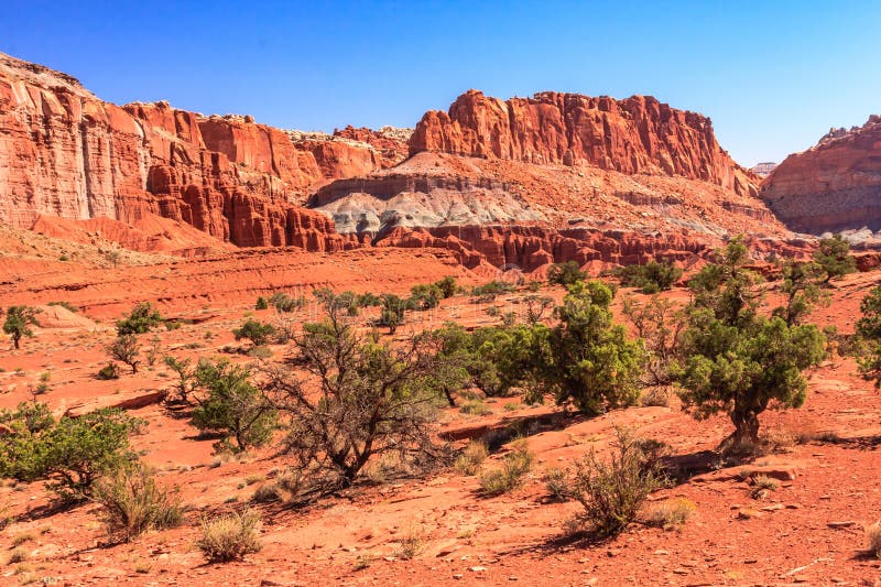 A Desert Landscape with a Few Trees and a Blue Sky Stock Image - Image ...