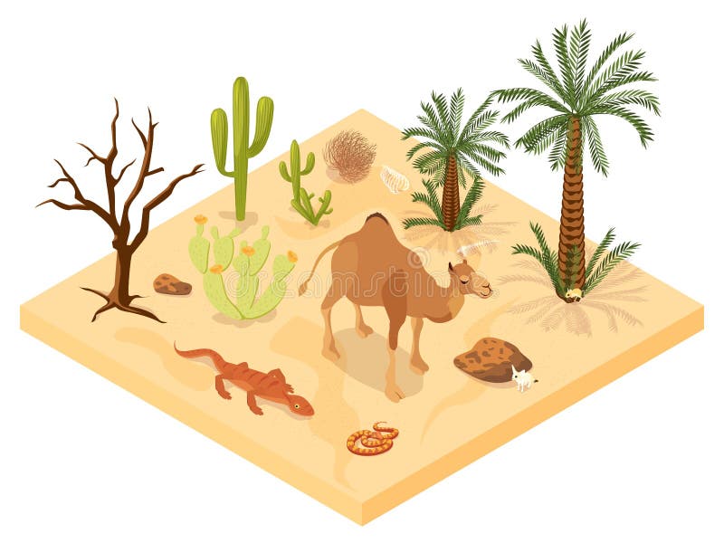 Desert Landscape Isometric Illustration Stock Illustration ...