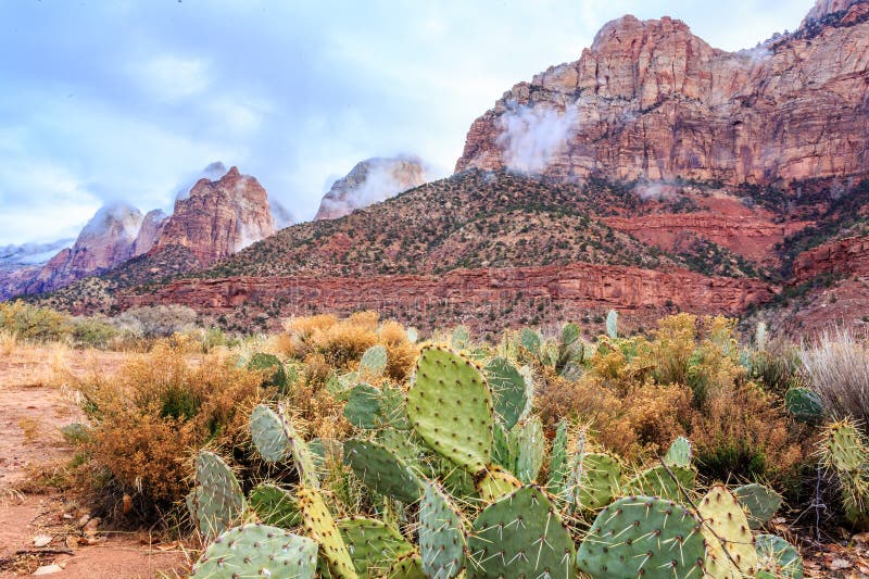 A Desert Landscape with a Large Mountain Range in the Background Stock ...