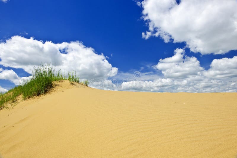 Desert Landscape in Manitoba, Canada Stock Photo - Image of prairies ...