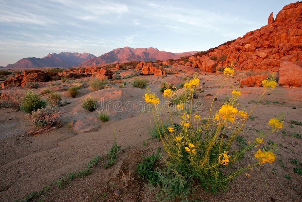 Desert landscape, Namibia stock photo. Image of outdoor - 1263590