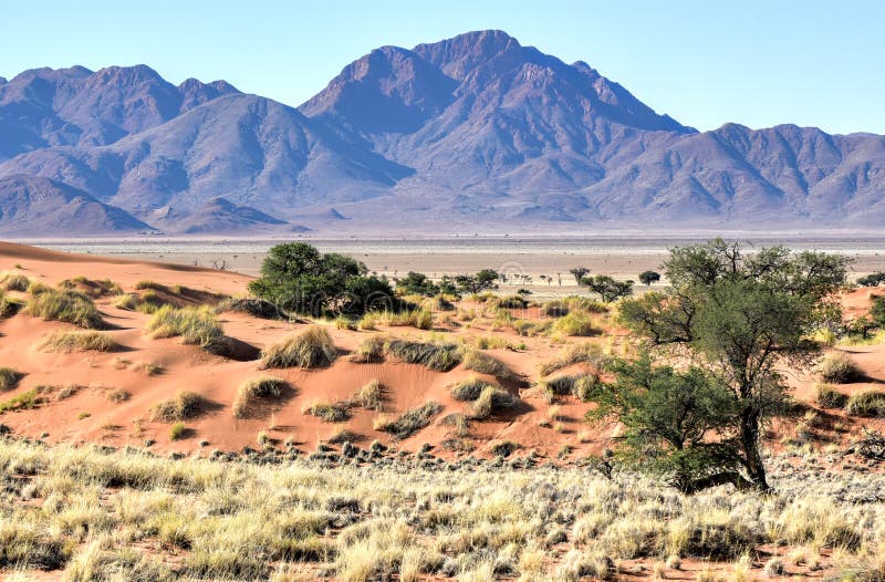 Desert Landscape - NamibRand, Namibia Stock Photo - Image of rock ...