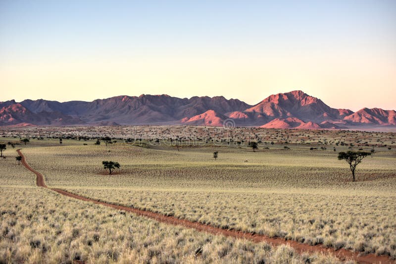 Desert Landscape - NamibRand, Namibia Stock Image - Image of park ...