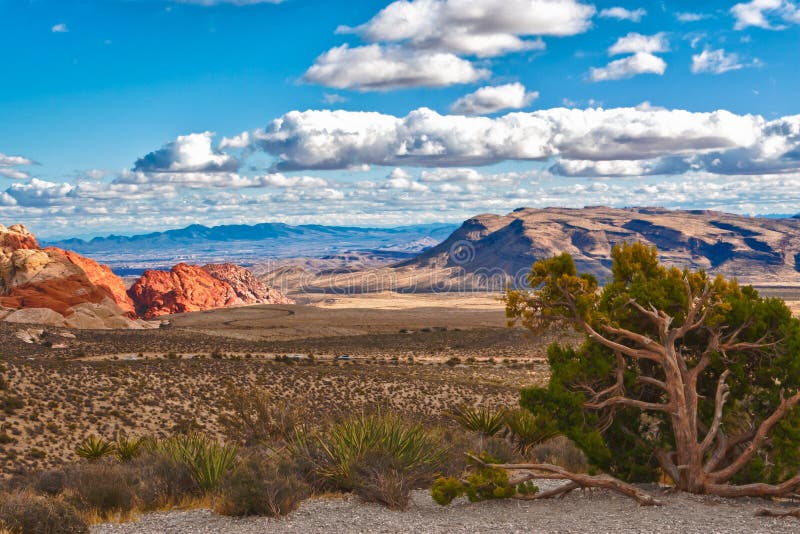 Desert Landscape in Nevada, USA. Stock Photo - Image of beauty ...