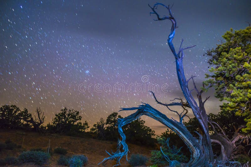 Desert Landscape at night stock image. Image of landscape - 41443041