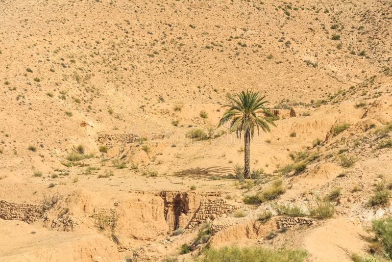 Desert Landscape in North Africa Stock Photo - Image of panorama, hill ...