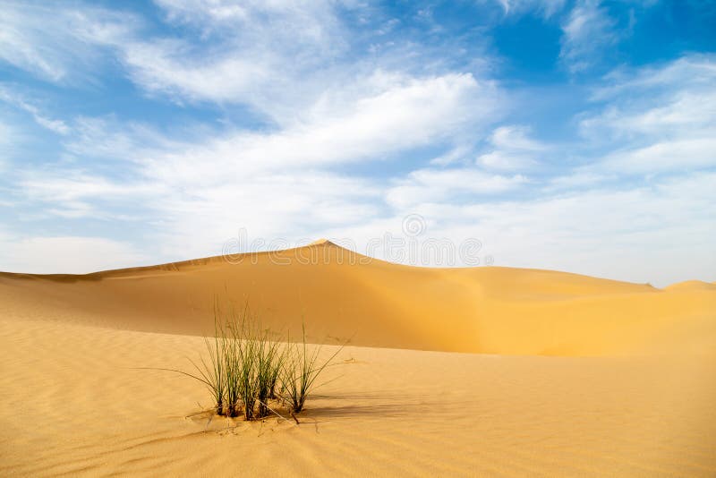 Desert Landscape with Sand Dunes Stock Image - Image of foreground ...