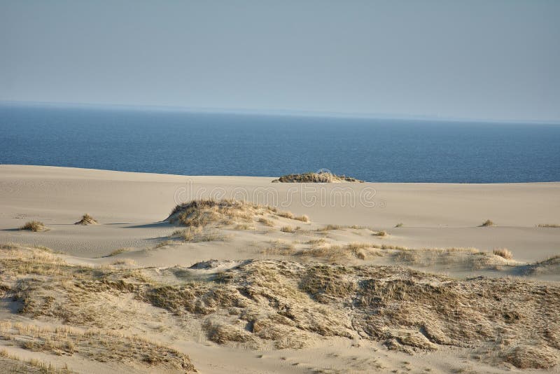 Desert Landscape. Sand, Sparse Vegetation Stock Photo - Image of clouds ...