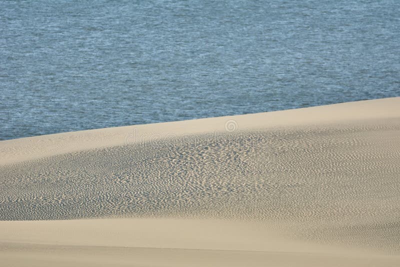 Desert Landscape. Sand, Sparse Vegetation Stock Image - Image of ...