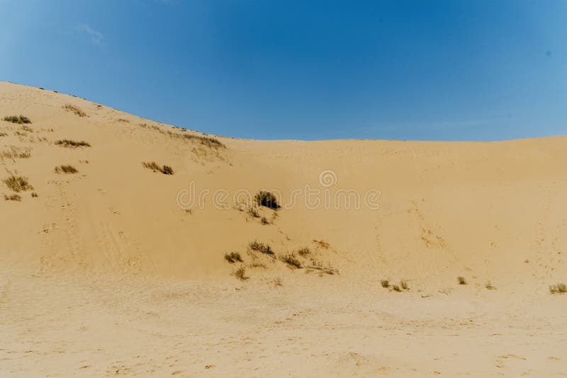 Desert Landscape, Sandy Orange Dunes, Sunny Wilderness Stock Image ...