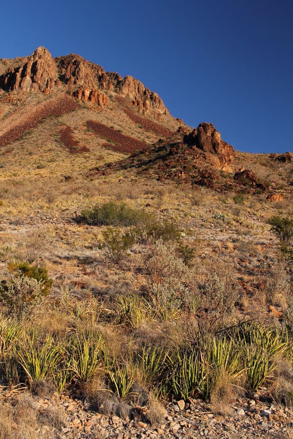 Desert Landscape stock image. Image of america, structures - 32918797