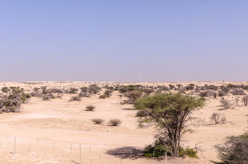 Desert Landscape stock photo. Image of blue, mountain - 272180676