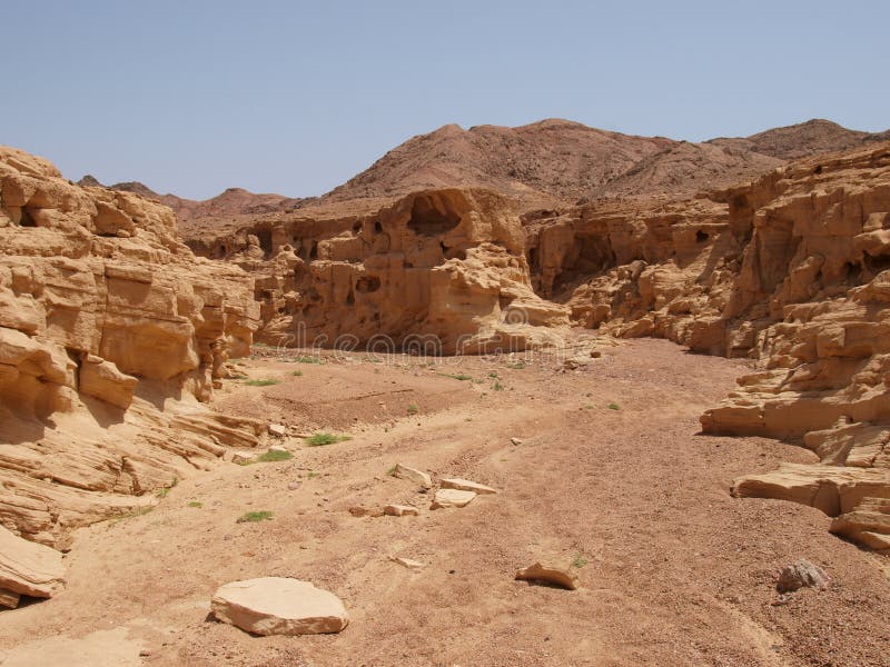 Sinai Desert