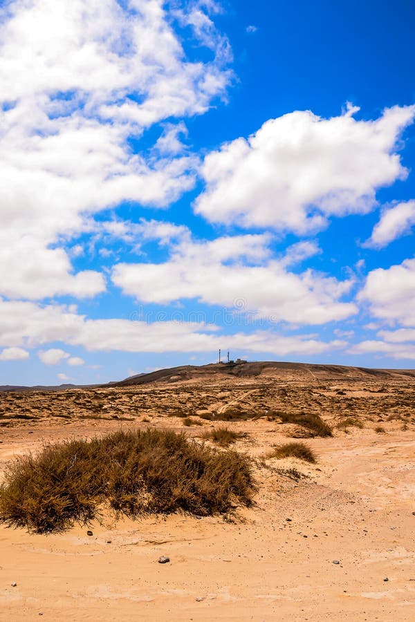 A Desert Landscape with a Small Bush in the Foreground Stock Photo ...