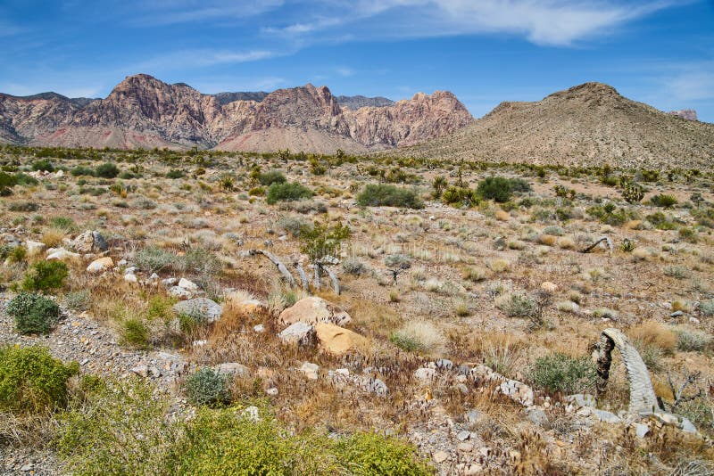 Desert Landscape with Small Mountains in Background Stock Photo - Image ...