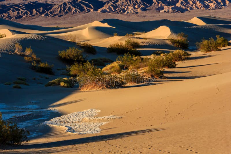 Small stream in the woods stock photo. Image of greenery - 12484720