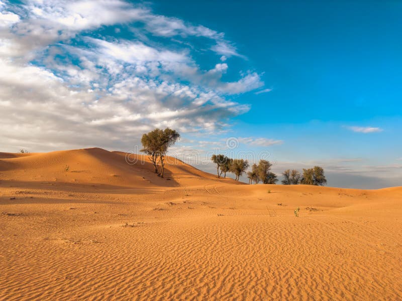 Desert Landscape with Sparse Trees, and Beautiful Scenery. Stock Photo ...