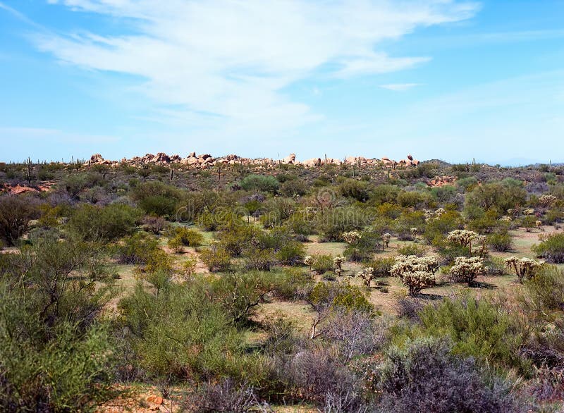 Desert Landscape stock photo. Image of tree, desert, blue - 39610286