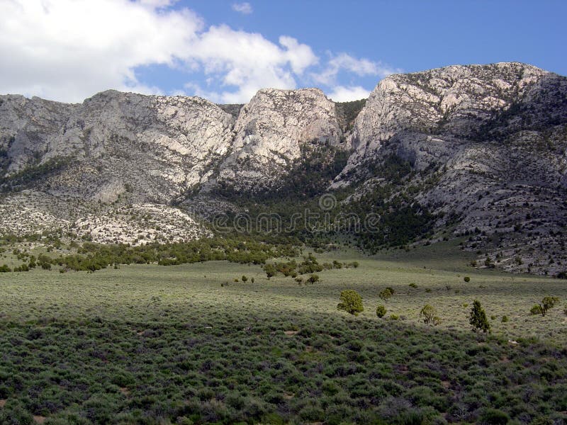 Desert Landscape Taken in Ely, Nevada Stock Photo - Image of cactus ...