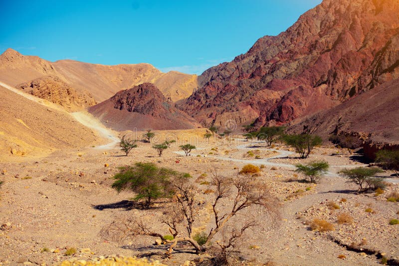 Desert Landscape with Trees. Colorful Mountains and Valley Stock Image ...