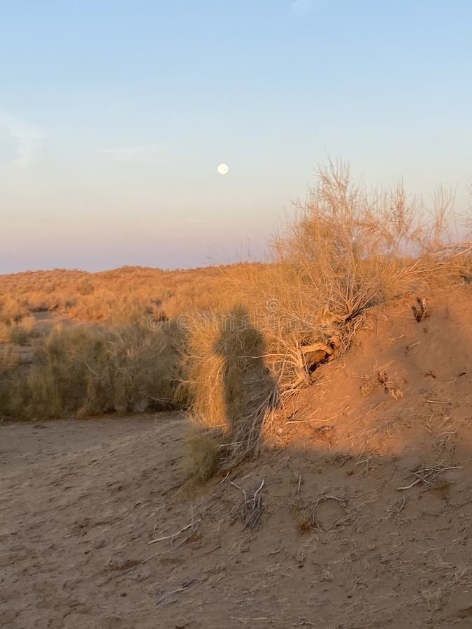 Shadow of a Person with Moon in Twilight in the Desert Stock Image ...