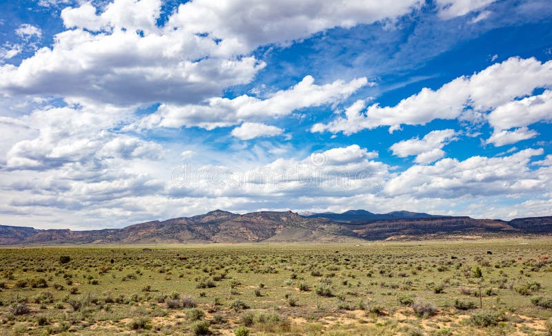 Desert Landscape, US Blue Sky with Clouds, Spring Day Stock Image ...