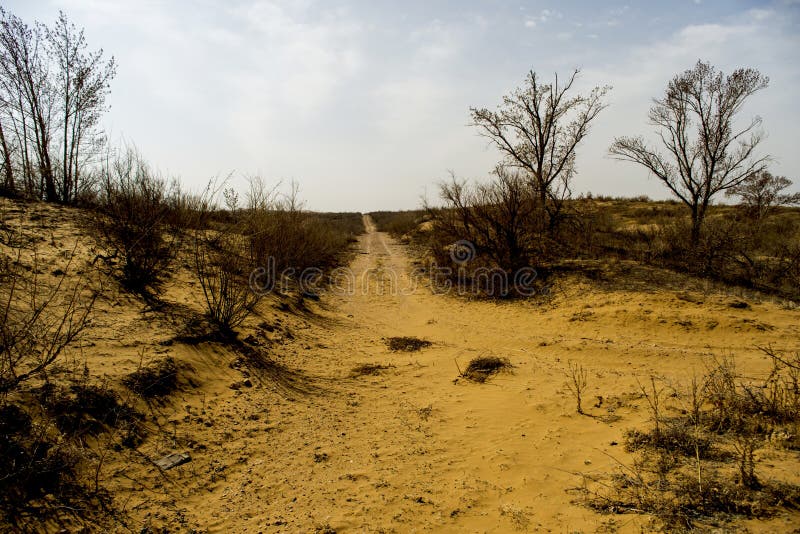 Desert Landscapes in Arid Regions Stock Photo - Image of desolate ...