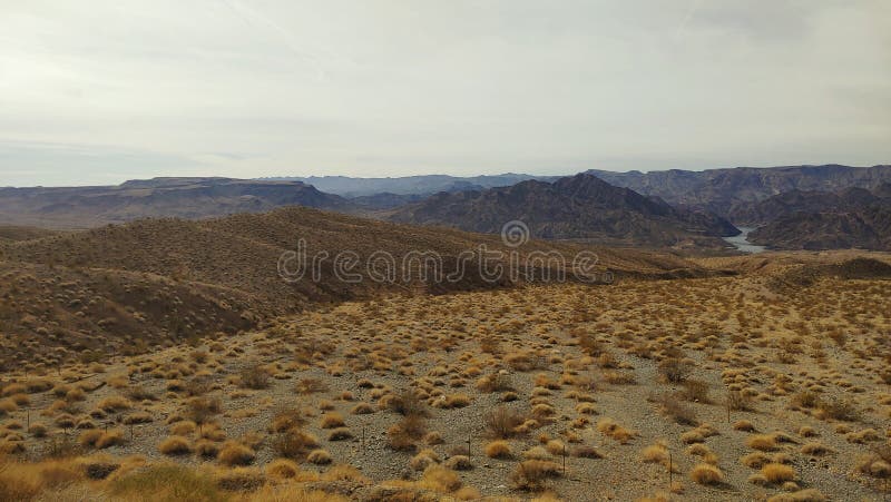 Desert Landscaping in Arizona Stock Image - Image of desert, outdoor ...