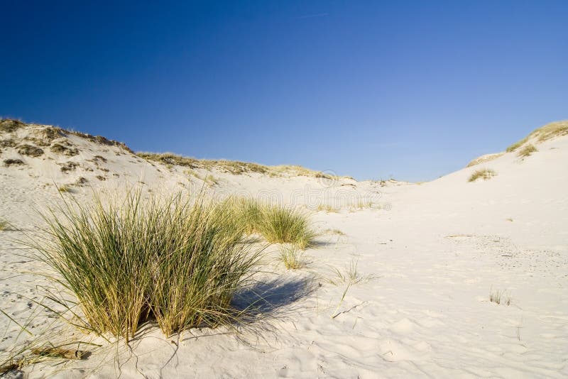 The desert Leba stock image. Image of sand, coast, leba - 5510049