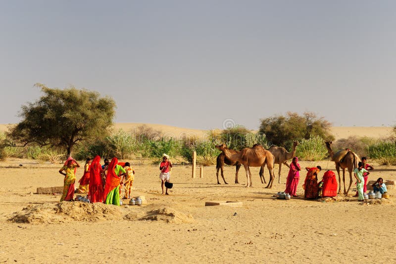Desert life in India editorial stock photo. Image of india - 37231488