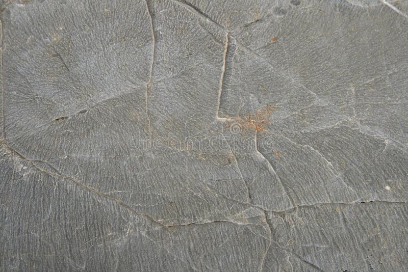 55,010 Limestone Texture Stock Photos - Free & Royalty-Free Stock ...