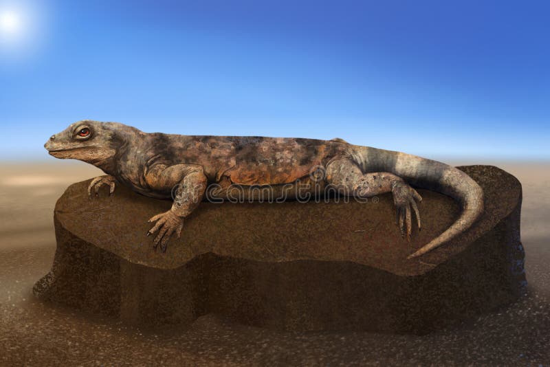 Desert Lizard Warming on a Rock - Digital Art Stock Illustration ...