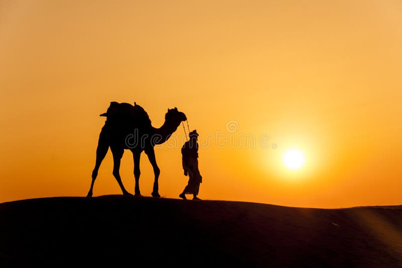 A Desert Local Walks a Camel through Thar Desert Stock Photo - Image of ...
