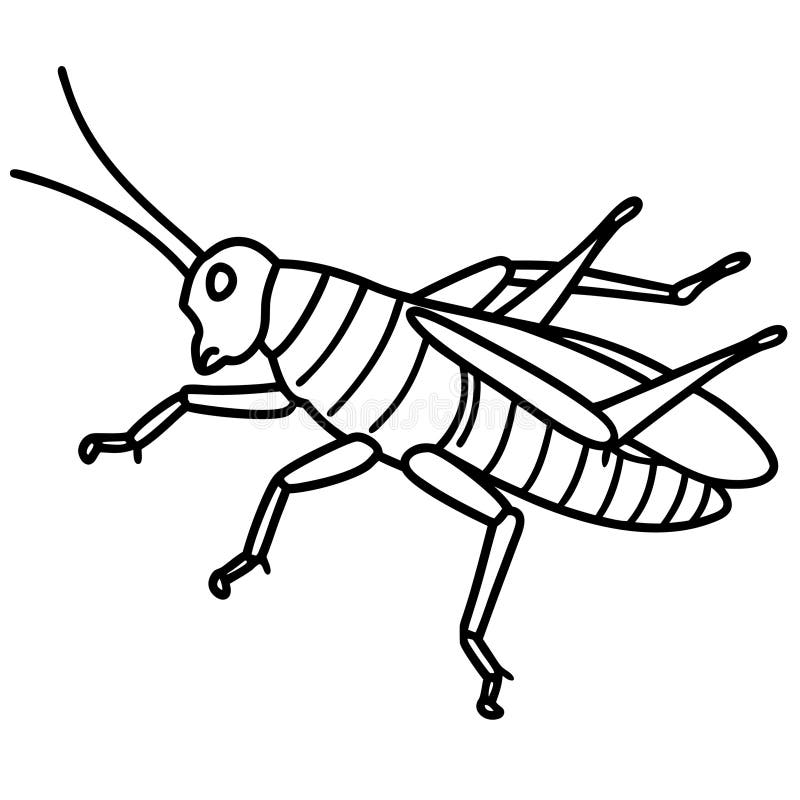Desert Locust Cricket Dancing Icon Vector Stock Vector - Illustration ...